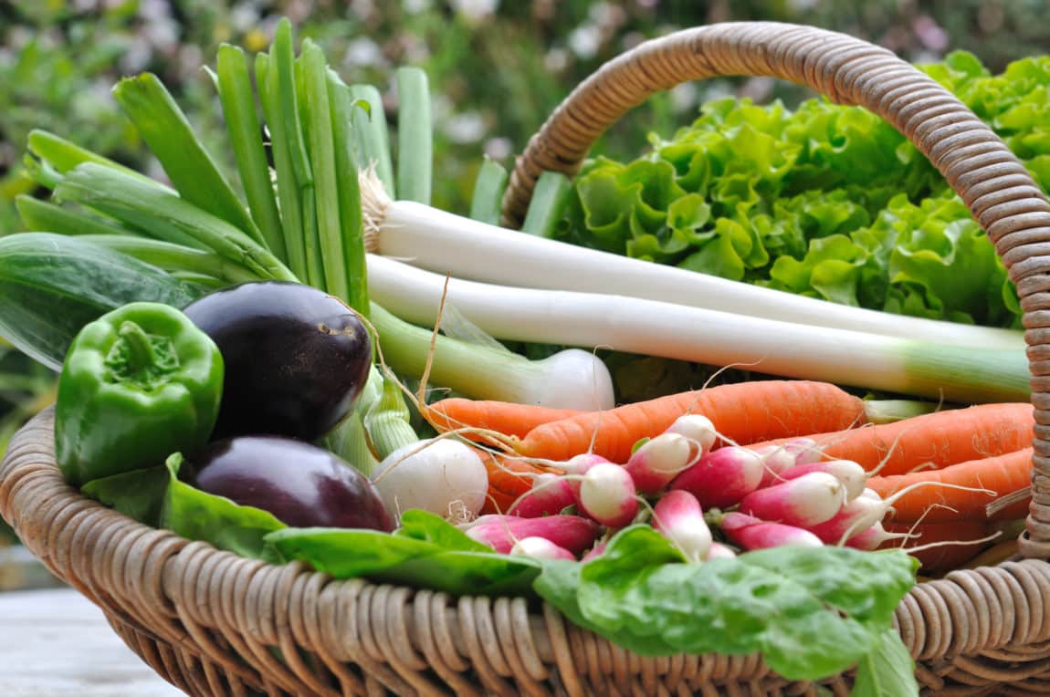 Bionature | Compléments alimentaires bio pour animaux